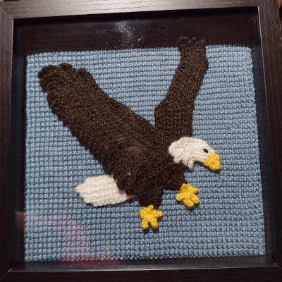 Framed Bald Eagle Appliqué – Slowpoke Shells Crochet